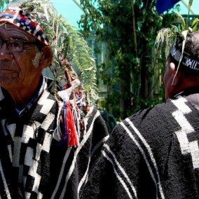 Guarda pampa, la insignia mapuche